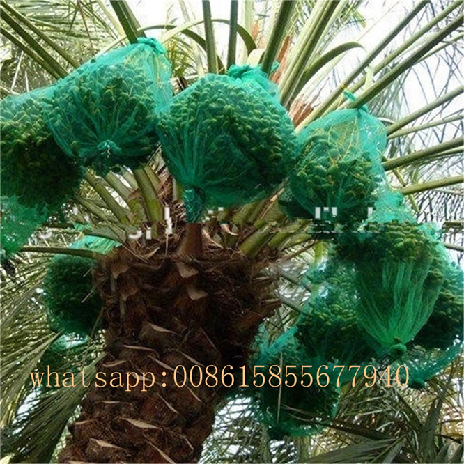 Protect bag date palm tree net PE mesh bag