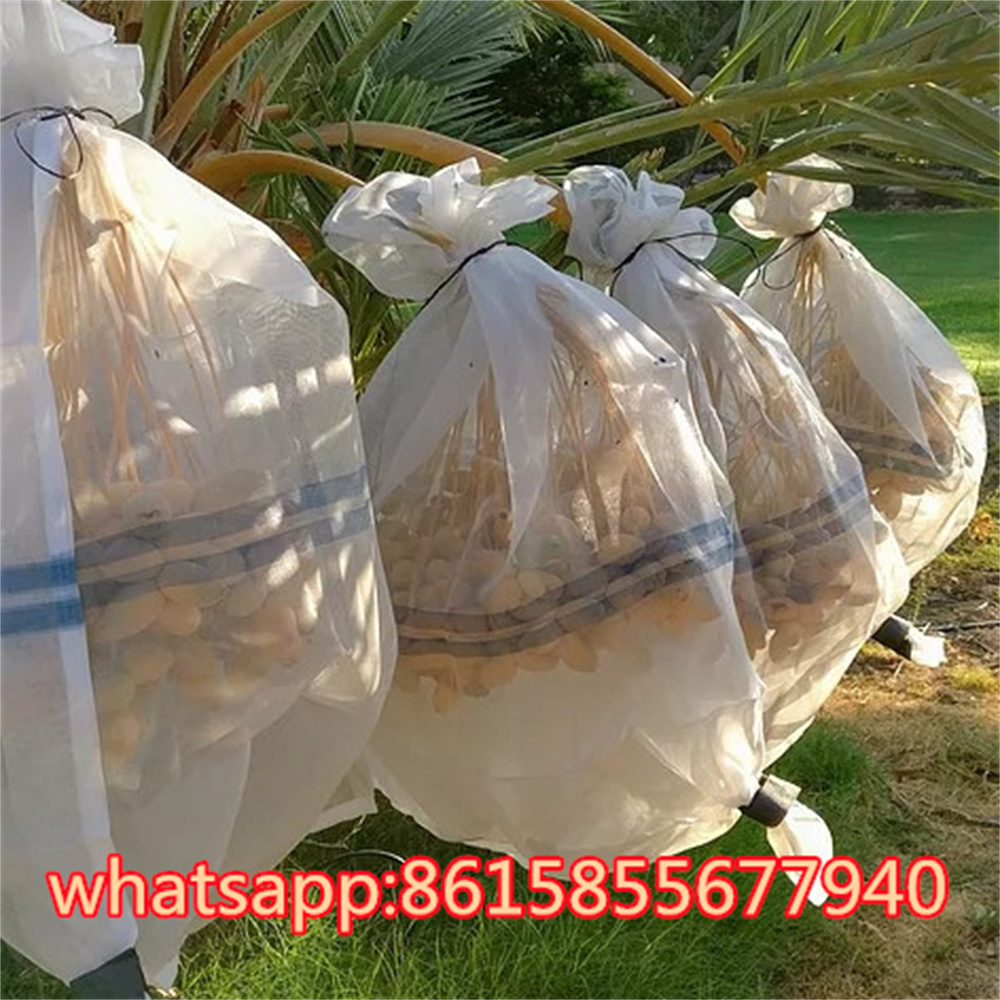 Date Palm Tree Mesh Bag Manufacturer - PE White/ Black Date Harvest ...
