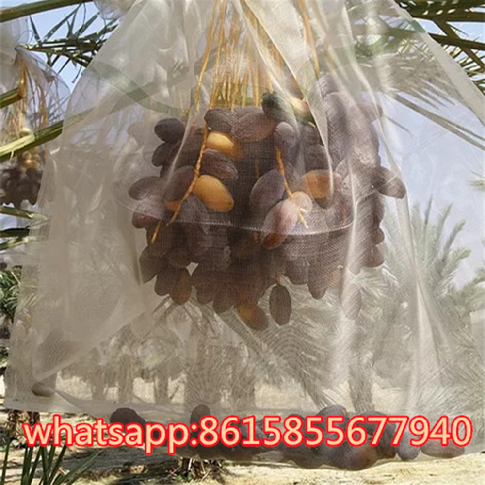 Date Palm Tree Mesh Bag Manufacturer - PE White/ Black Date Harvest ...